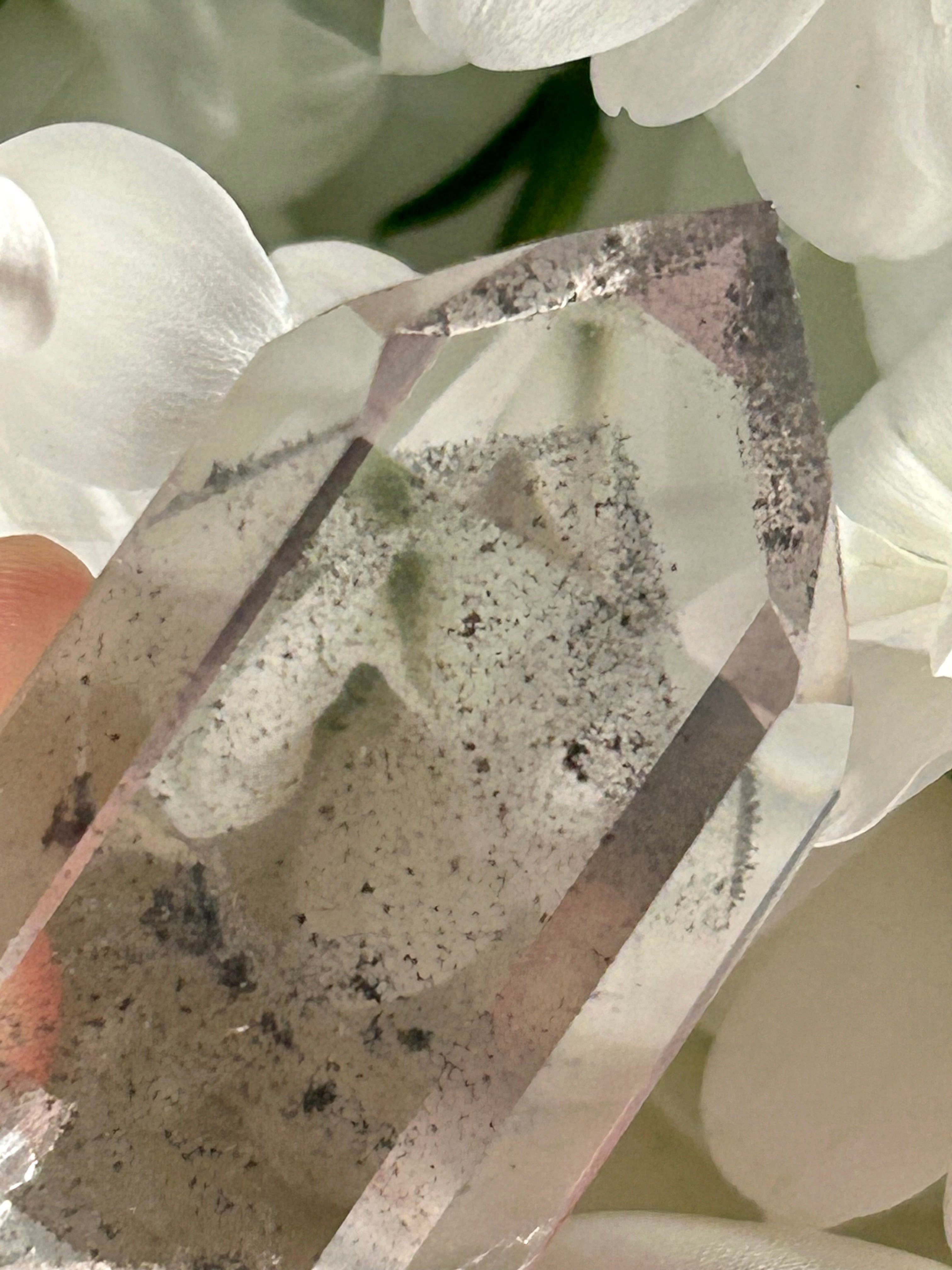Phantom Quartz – Clarity with Crystals